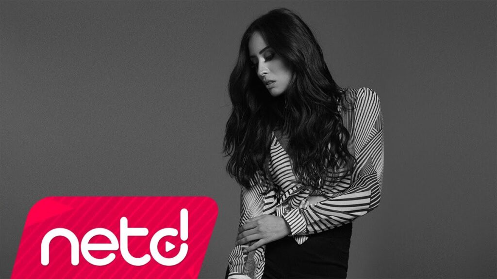 Netd Müzik Ücreti ve Şarkı Yayınlama